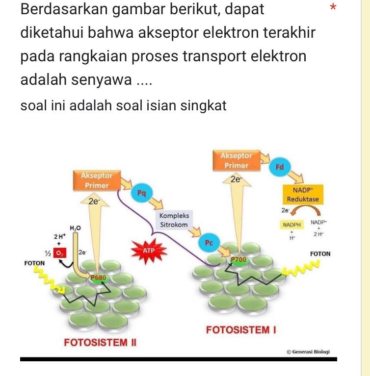 Berdasarkan gambar berikut dapat diketahui bahwa akseptor elektron ...