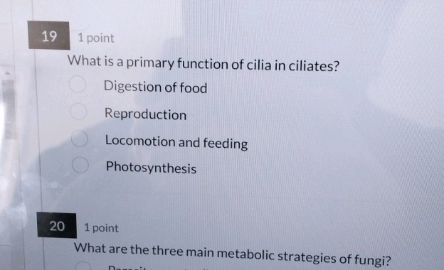 19 1 point What is a primary function of | StudyX