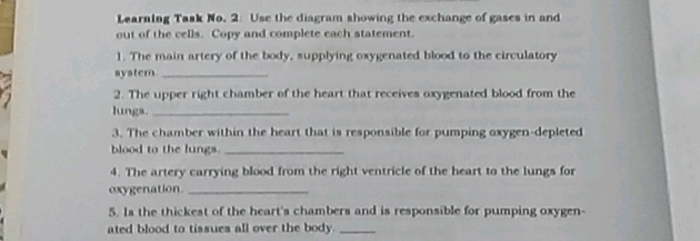 Learning Task No 2 Use the diagram showing | StudyX
