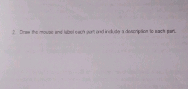 2 Draw the mouse and label each part and | StudyX
