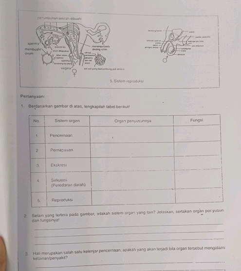 Pertanyaan 1 Berdasarkan gambar di atas | StudyX