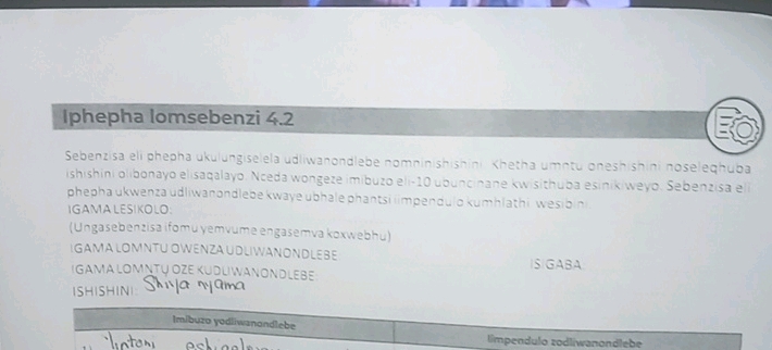 Iphepha lomsebenzi 42 Sebenzisa eli oheoha | StudyX