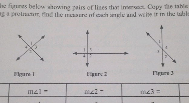 he figures below showing pairs of lines | StudyX
