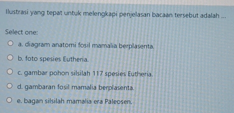 Ilustrasi yang tepat untuk melengkapi | StudyX