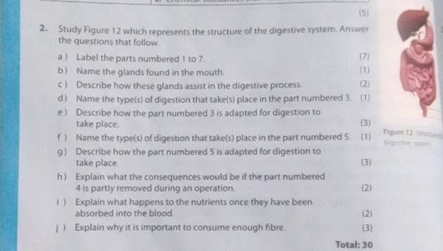 2 Study Figure 12 which represents the | StudyX