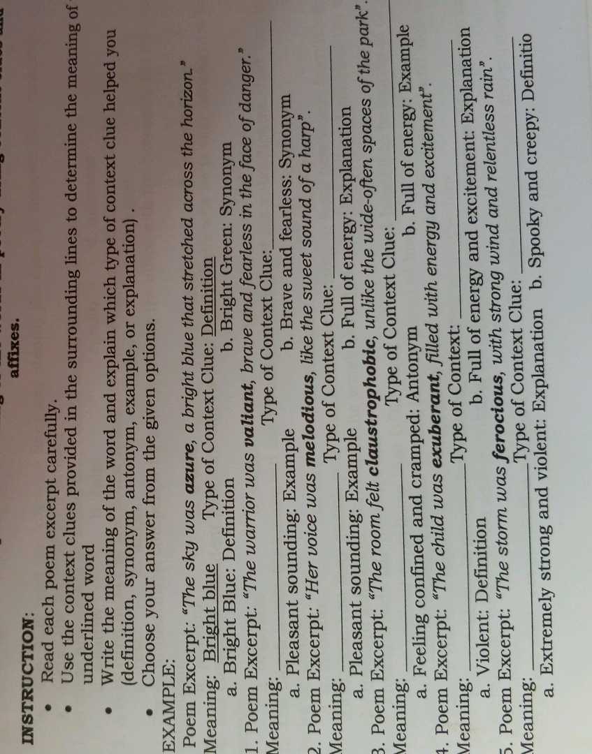 INSTRUCTION affixes - Read each poem | StudyX