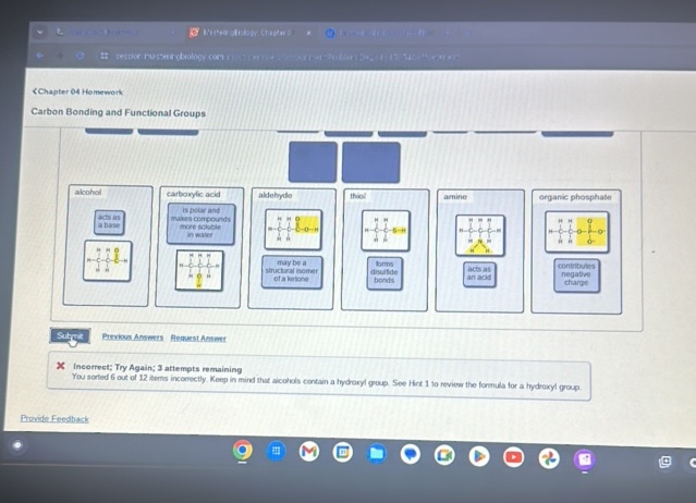 Himatiolit thin Chapter 04 Homework Carbon | StudyX