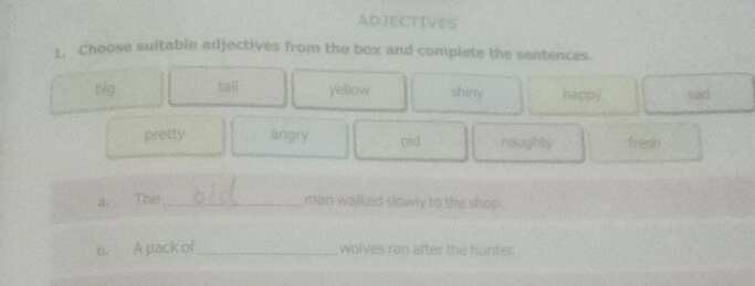 ADJECTTVES 1 Choose suitable adjectives | StudyX