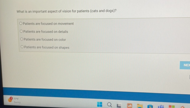 What is an important aspect of vision for | StudyX