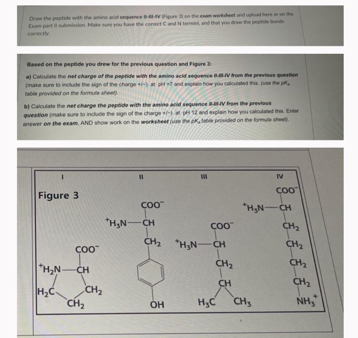 Draw the peptide with the amino acid | StudyX
