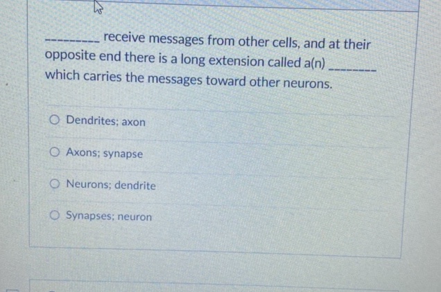 receive messages from other cells and at | StudyX