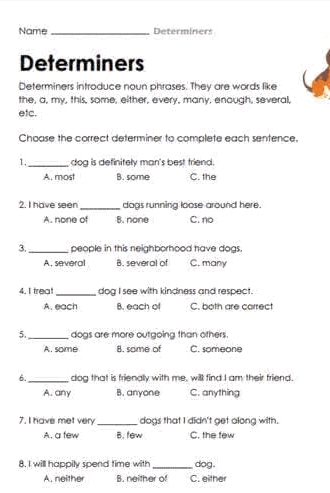 Name Determiner Determiners Determiners | StudyX