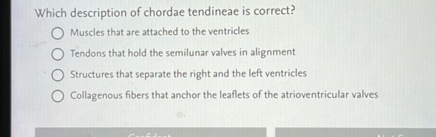 Which description of chordae tendineae is | StudyX