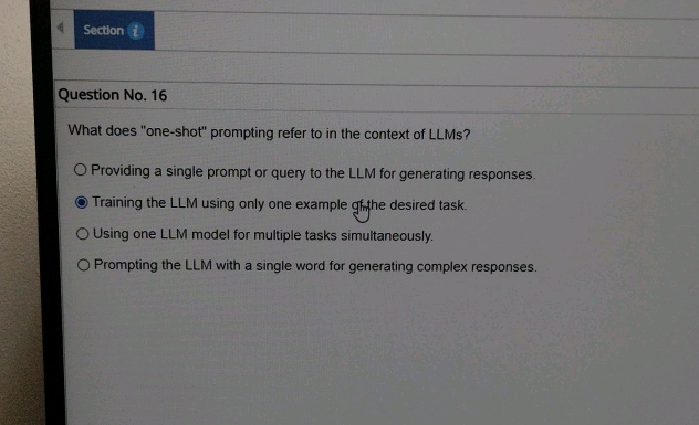 Section i Question No 16 What does one-shot | StudyX