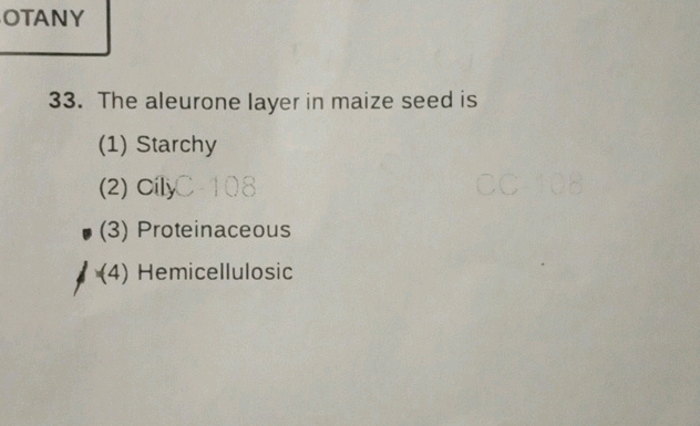 OTANY 33 The aleurone layer in maize seed | StudyX