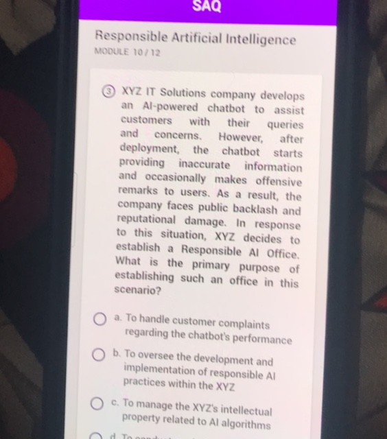 SAQ Responsible Artificial Intelligence