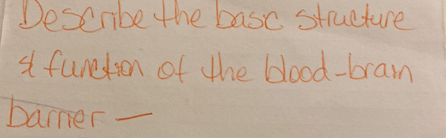 Describe the basic structure function of | StudyX