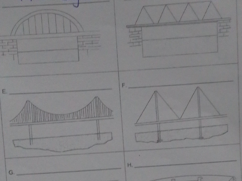 The image shows different types of bridges. | StudyX