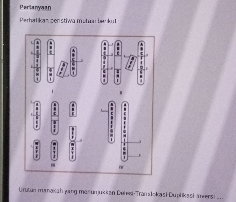 Pertanyaan Perhatikan peristiwa mutasi | StudyX