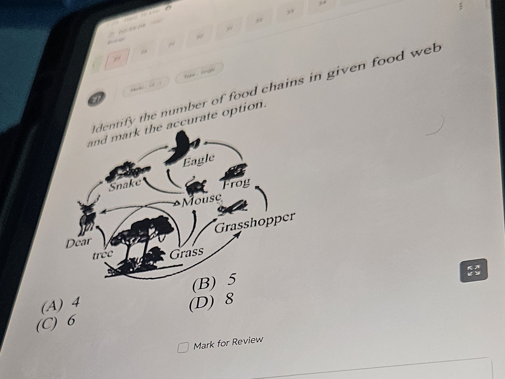 Identify the number of food chains in given | StudyX