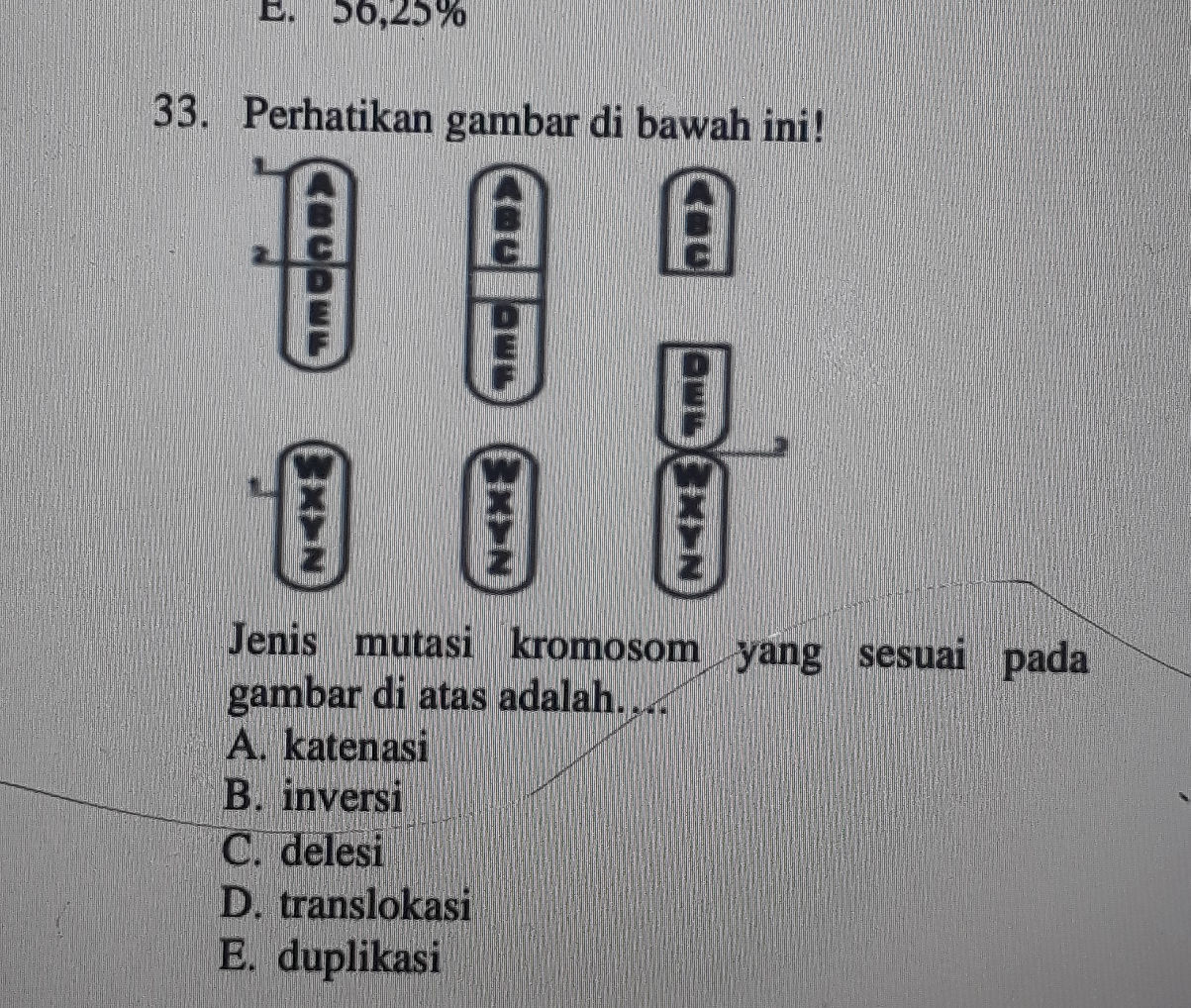 33. Perhatikan gambar di bawah ini! | StudyX