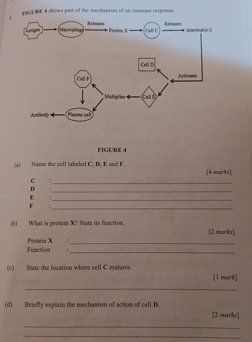 FIGURE 4 shows part of the mechanism of an | StudyX