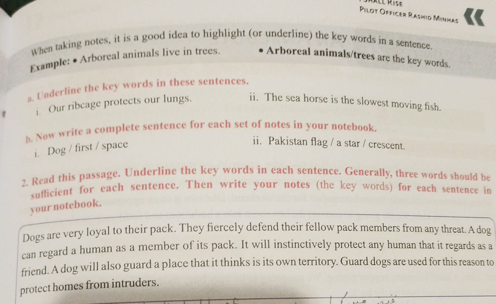 a. Underline the key words in these | StudyX