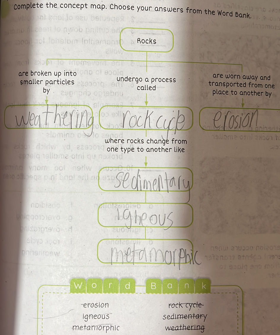 Complete the concept map. Choose your | StudyX