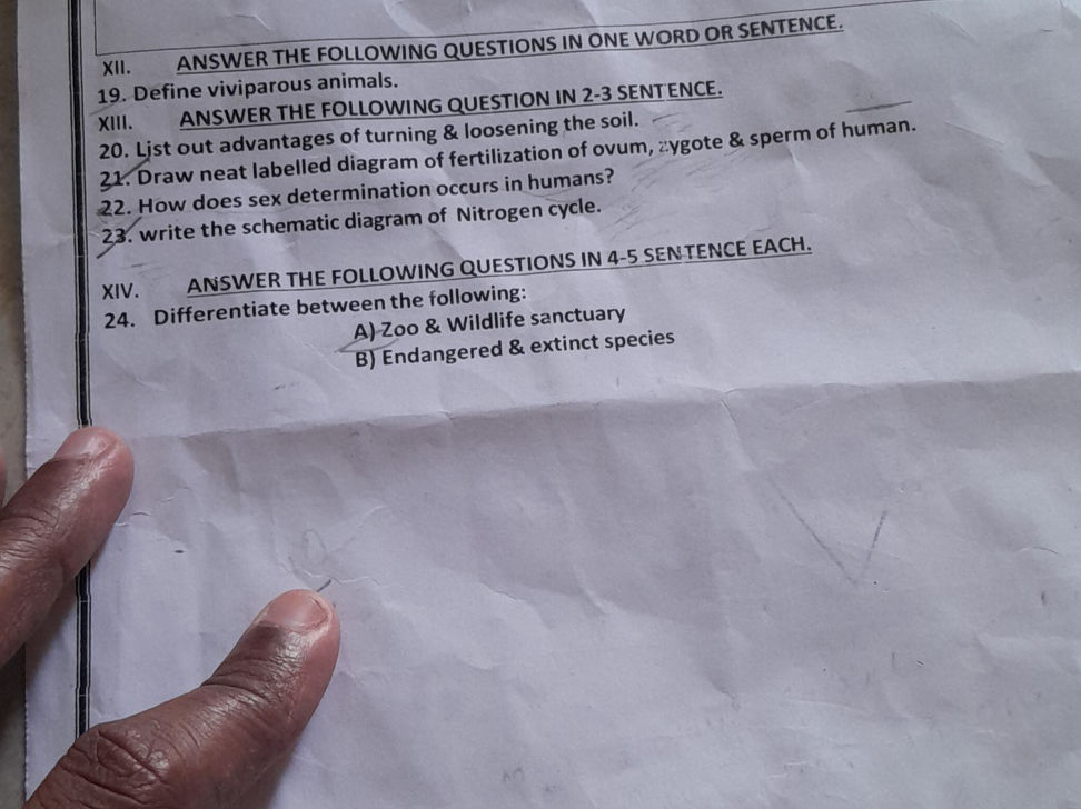 24. Differentiate between the following: A) | StudyX