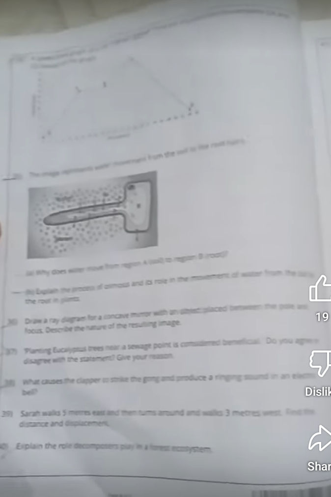36) Draw a ray diagram for a concave mirror | StudyX