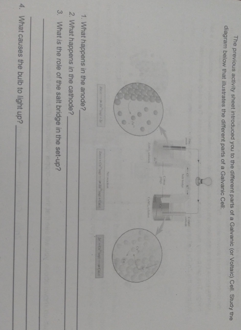 The previous activity sheet introduced you | StudyX