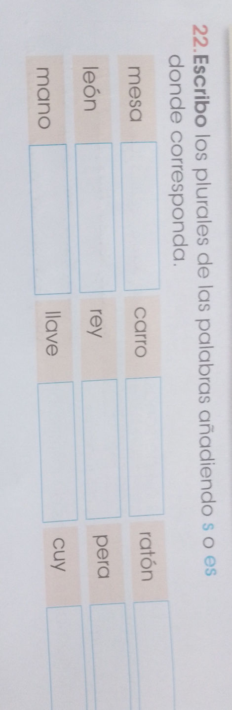 22. Escribo los plurales de las palabras | StudyX