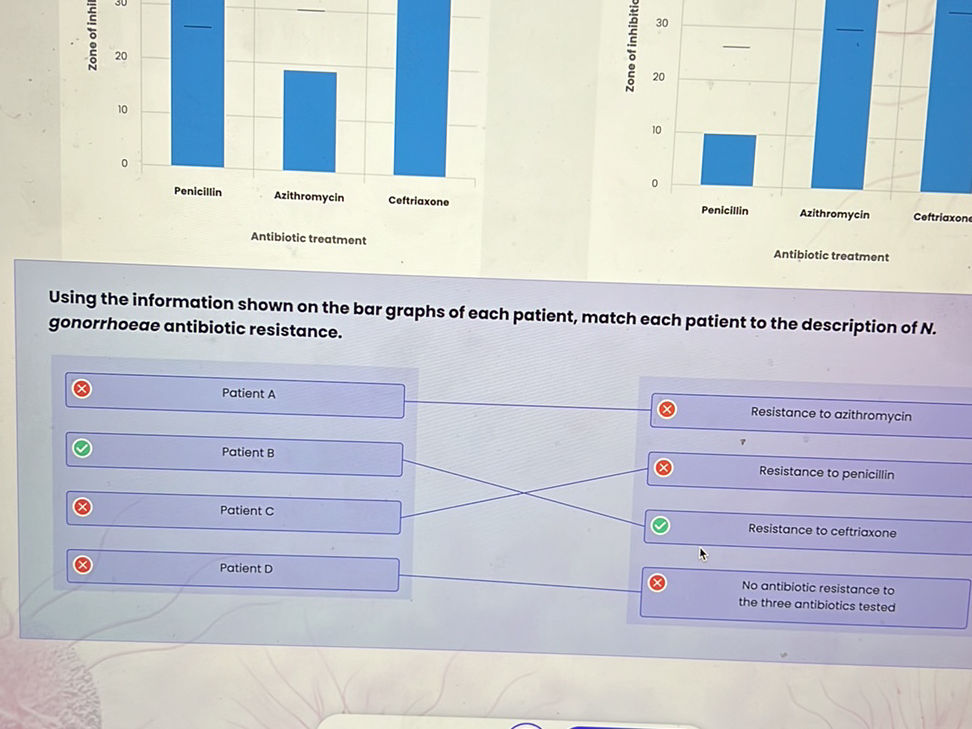 Using the information shown on the bar | StudyX