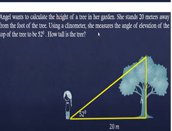 Angel wants to calculate the height of a | StudyX