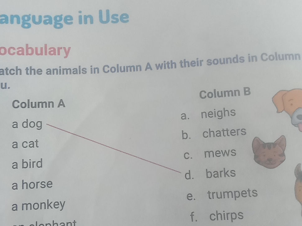 Match the animals in Column A with their | StudyX