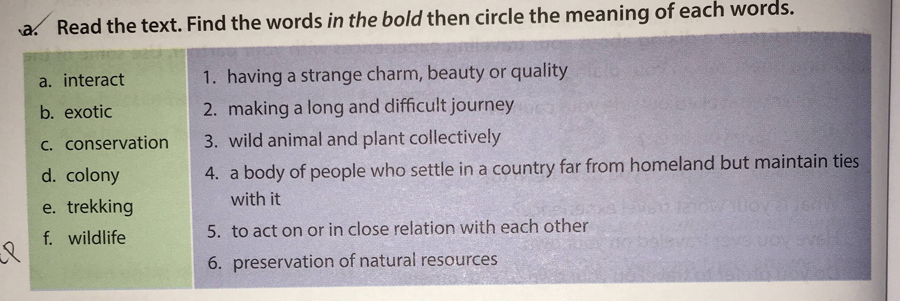 Read the text. Find the words in the bold | StudyX