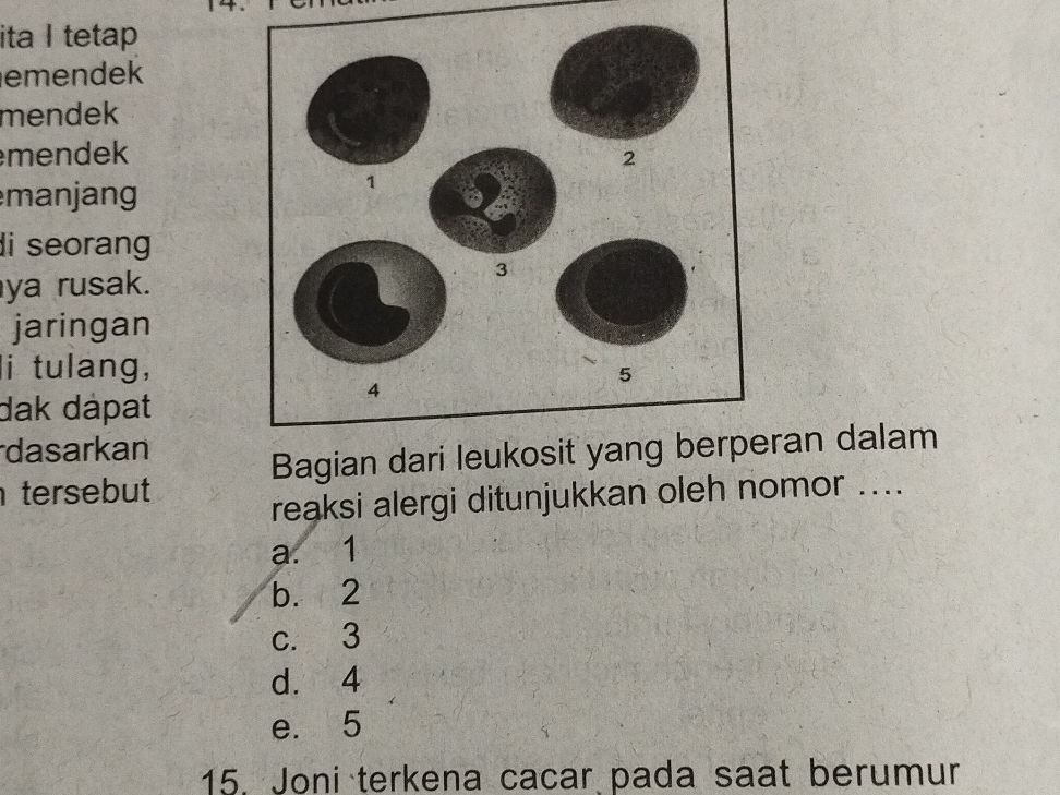 Bagian dari leukosit yang berperan dalam | StudyX