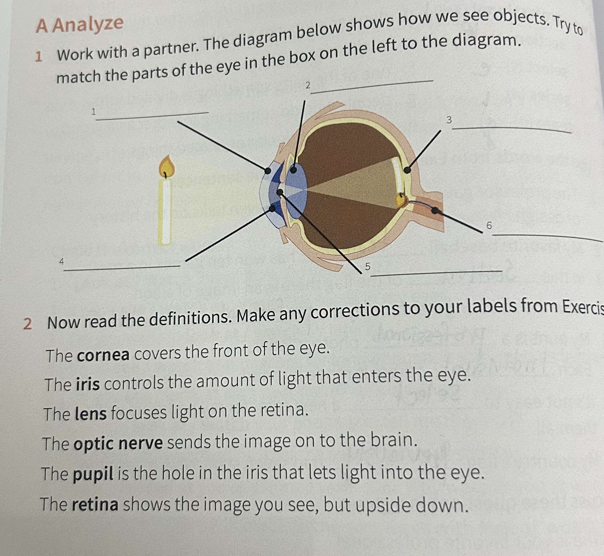 1 Work with a partner. The diagram below | StudyX