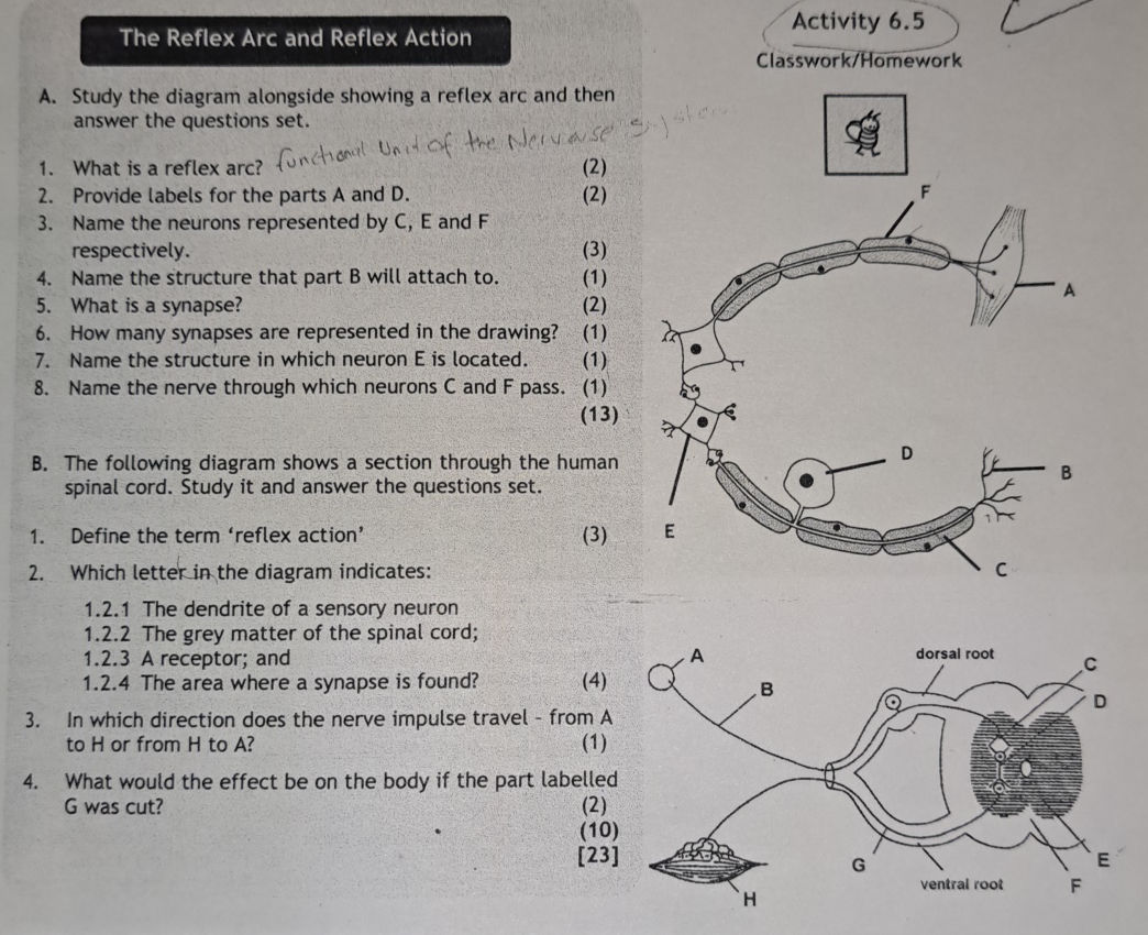 A. Study the diagram alongside showing a | StudyX