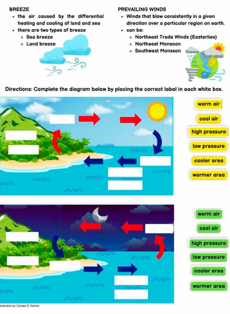 Directions: Complete the diagram below by | StudyX