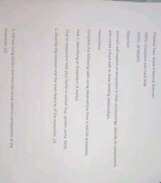 Practical Task: Grade 6 Natural Sciences | StudyX