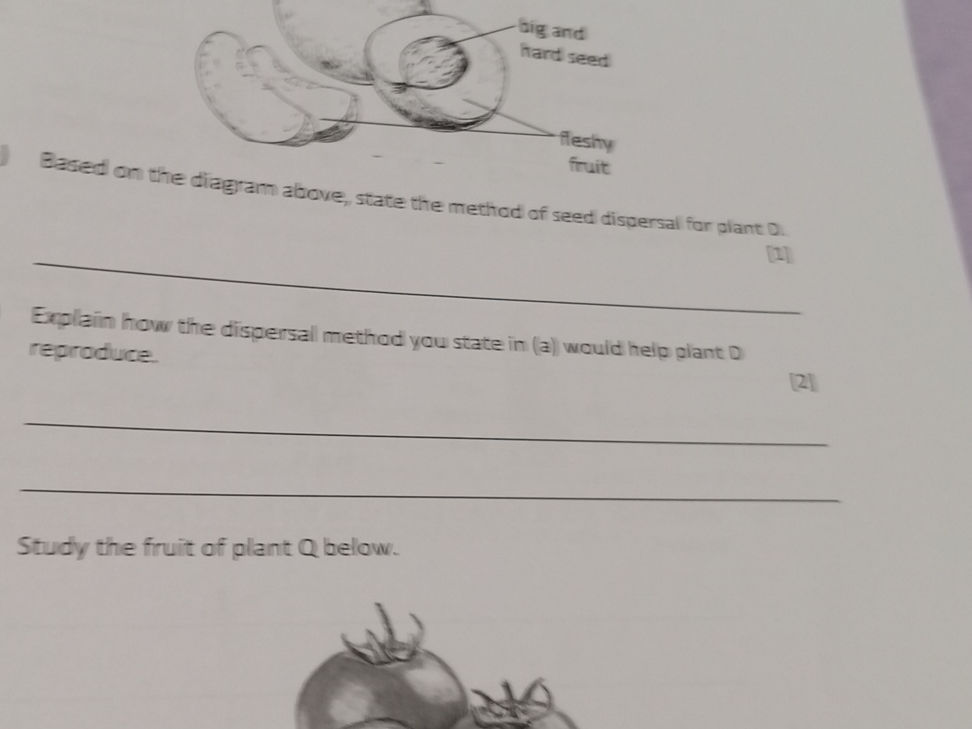 Based on the diagram above, state the method | StudyX