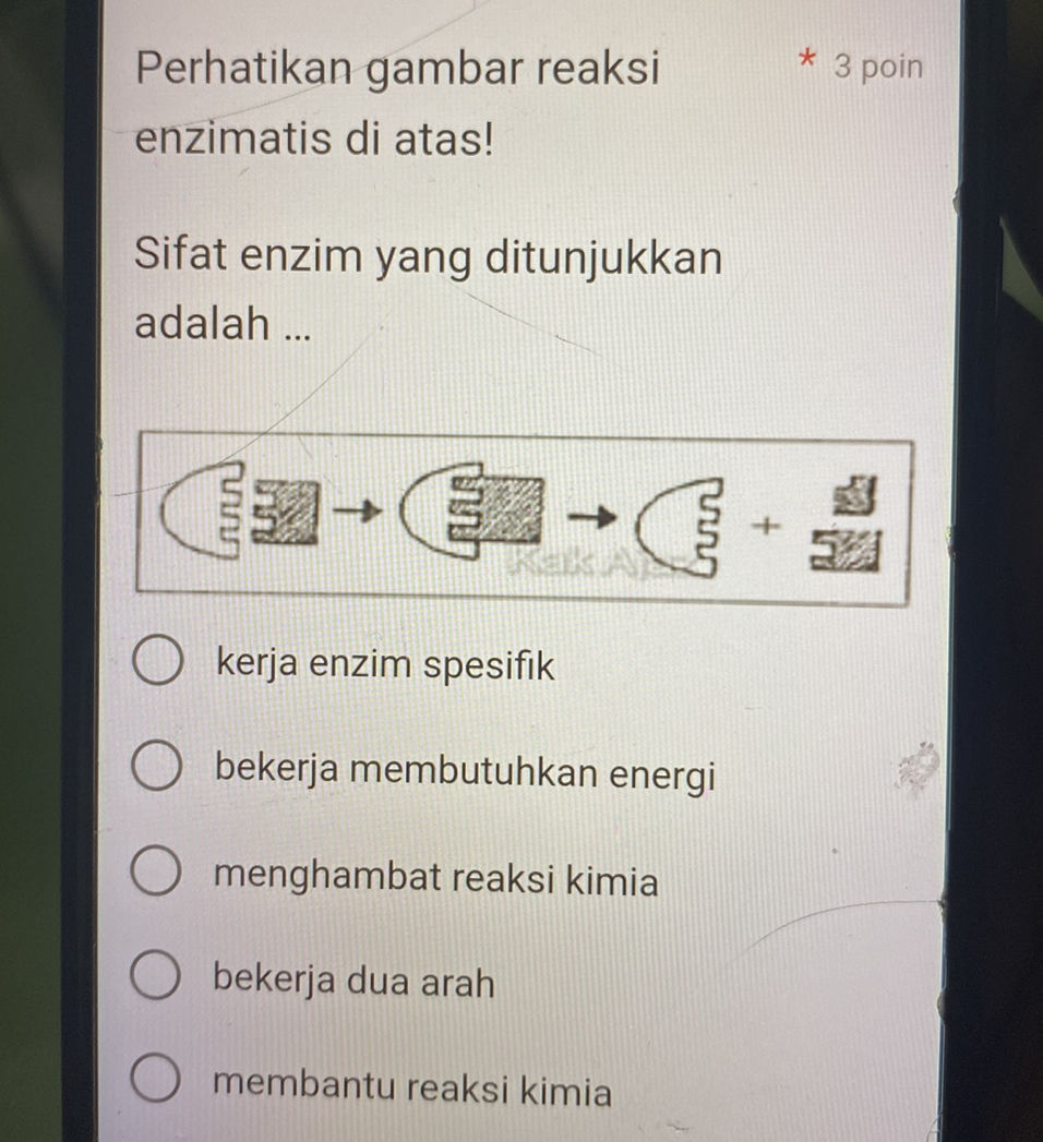 Perhatikan gambar reaksi enzimatis di atas! | StudyX