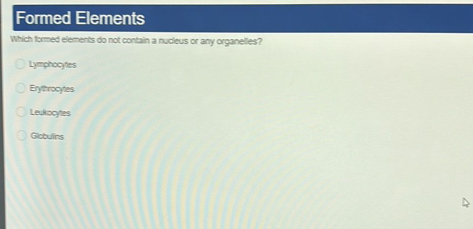 Which formed elements do not contain a | StudyX