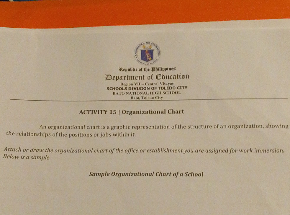 ACTIVITY 15 | Organizational Chart An | StudyX