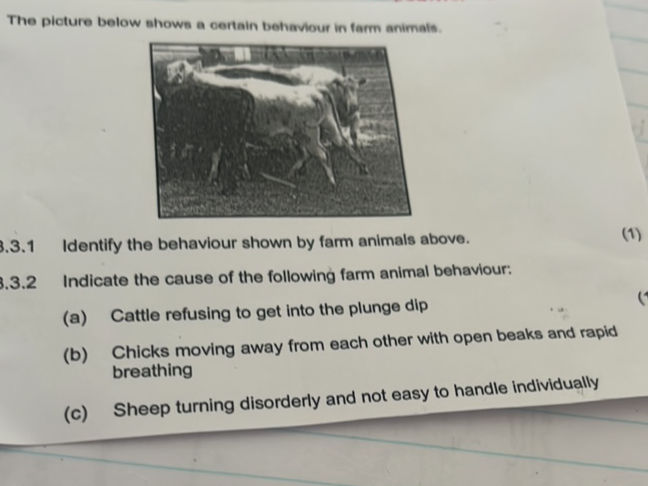 The picture below shows a certain behaviour | StudyX