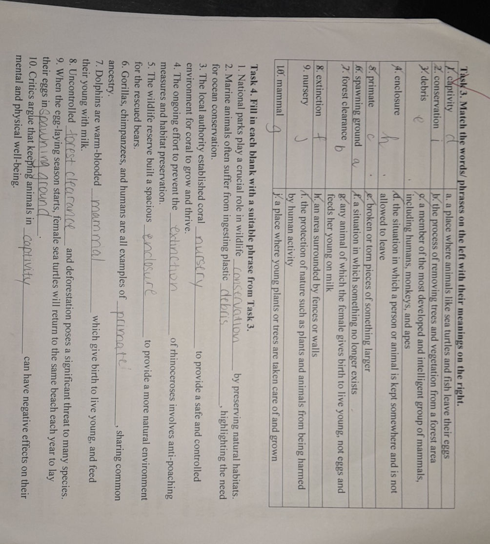Task 3. Match the words/ phrases on the left | StudyX