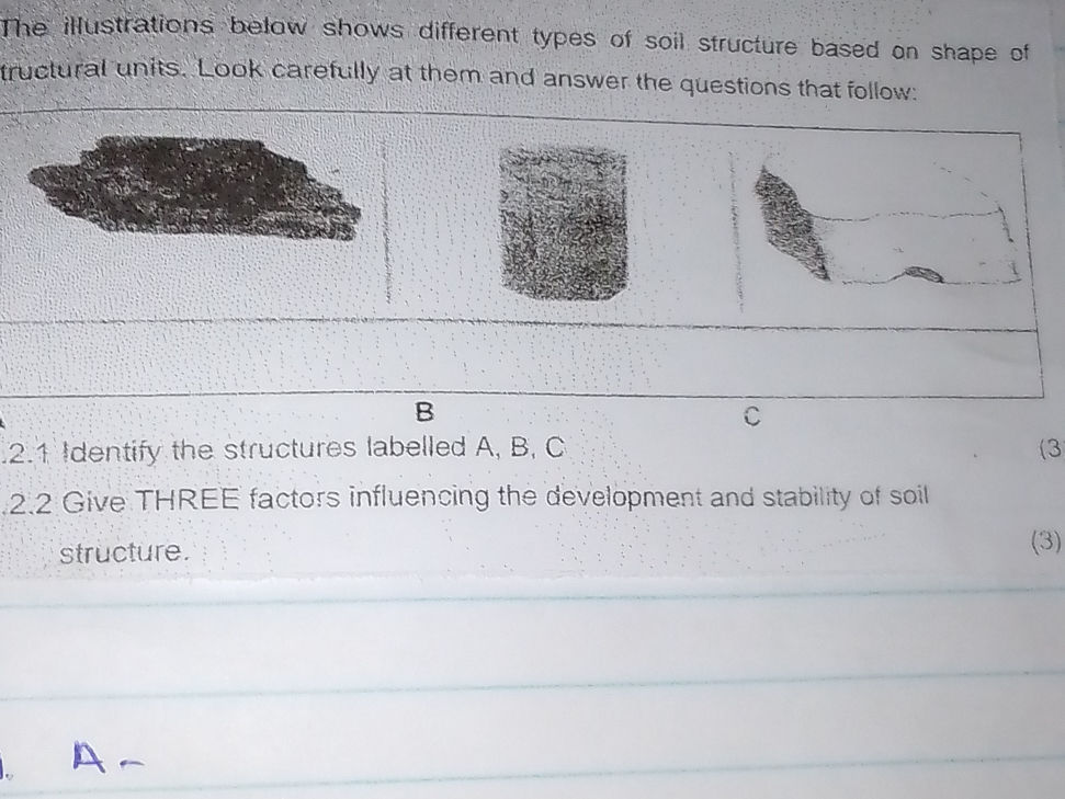 The illustrations below shows different | StudyX