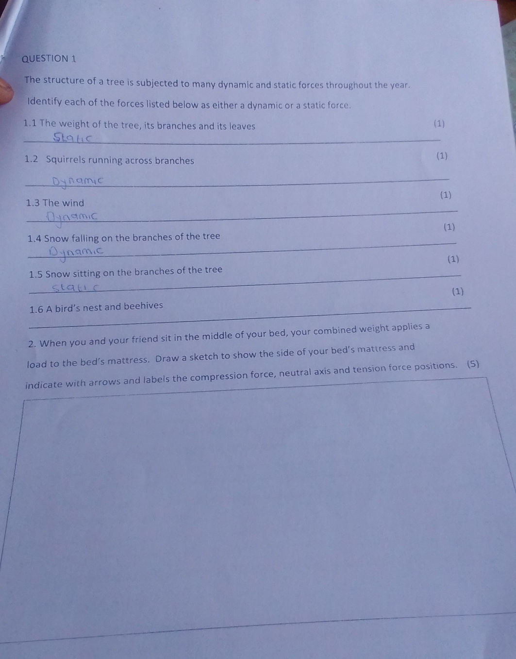 QUESTION 1 The structure of a tree is | StudyX