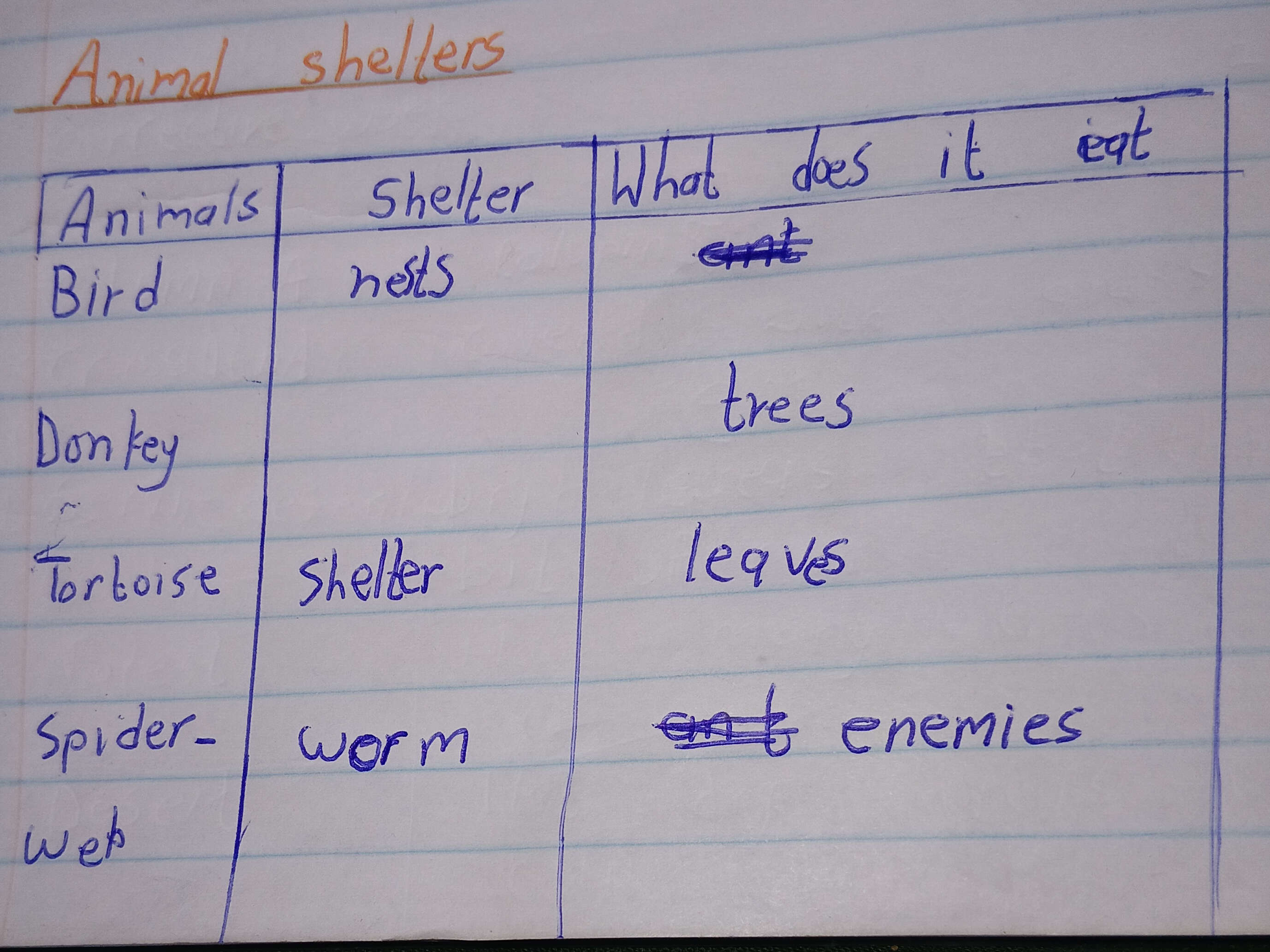 | Animals | Shelter | What does it eat | | StudyX